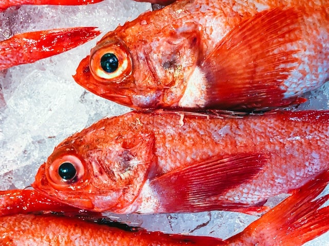 Kinmedai (Frozen Fillet, skin-on) | Sashimi DC by Keita Seafood